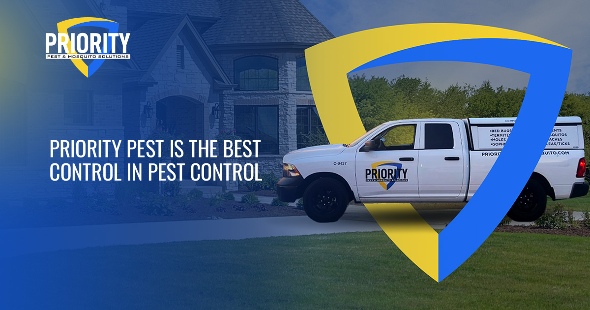 Pest Control in Oklahoma City, OK | Priority Pest & Mosquito Solutions